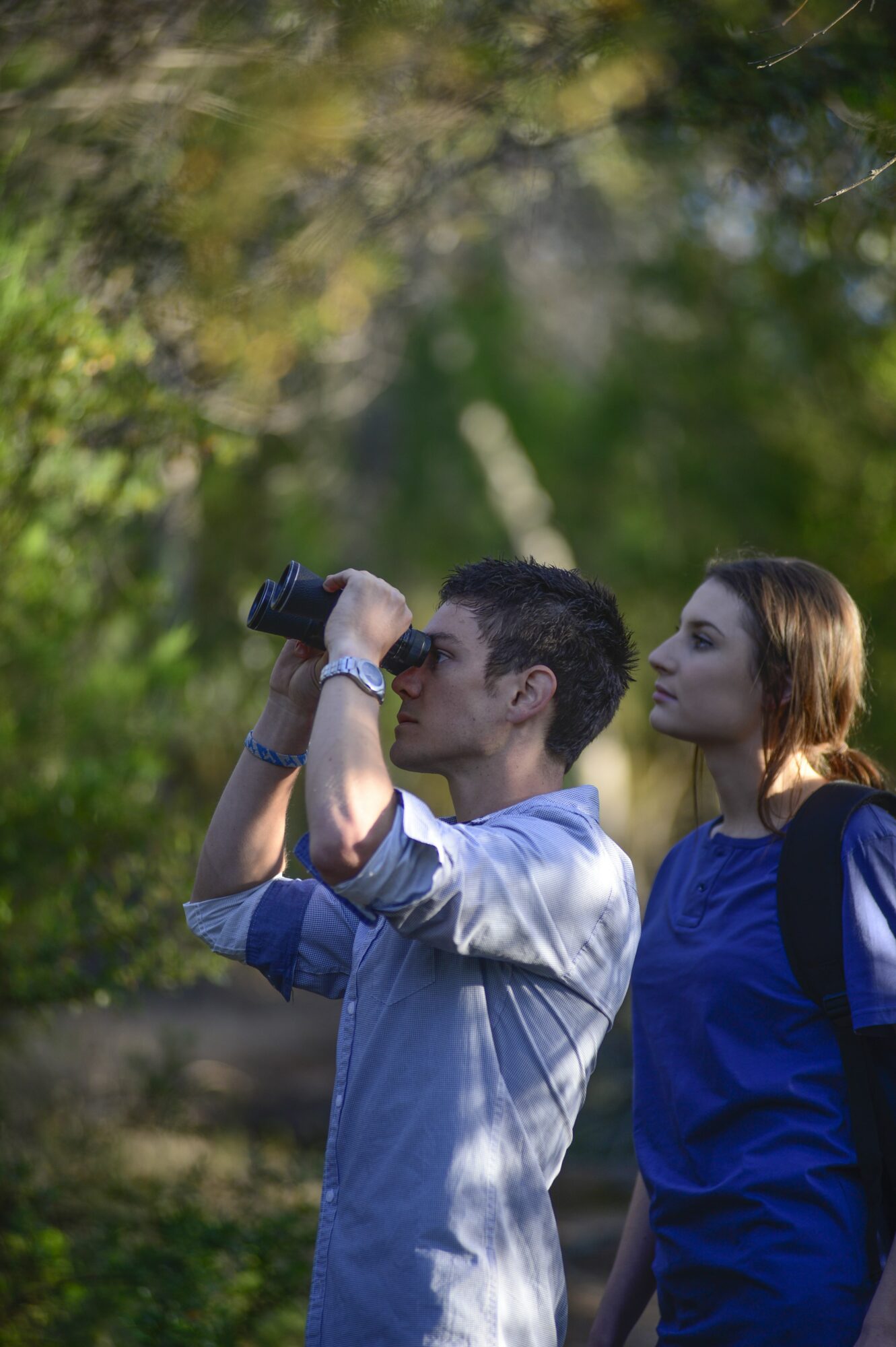 Short Walks - Chiltern